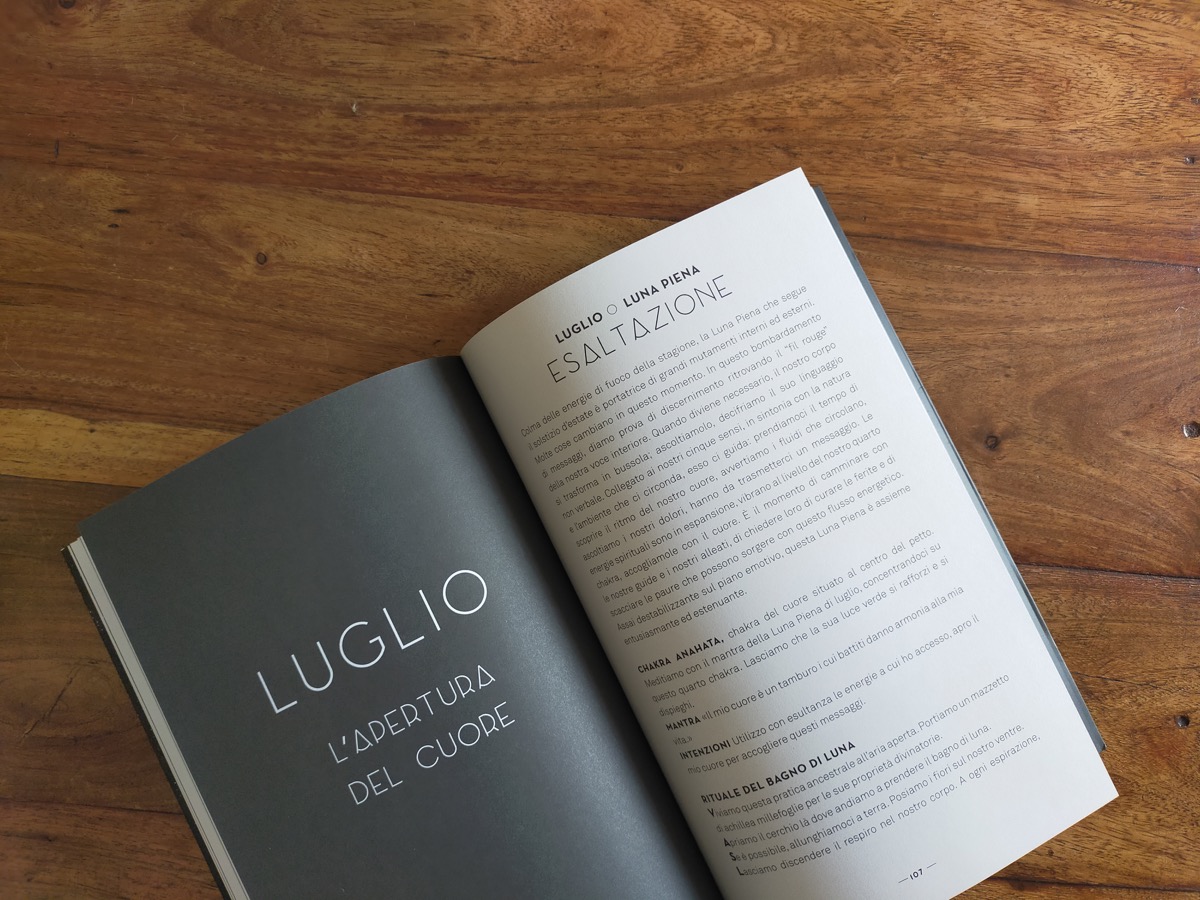 I migliori 5 libri sulle tredici lune: insegnamenti di guarigione dal ...
